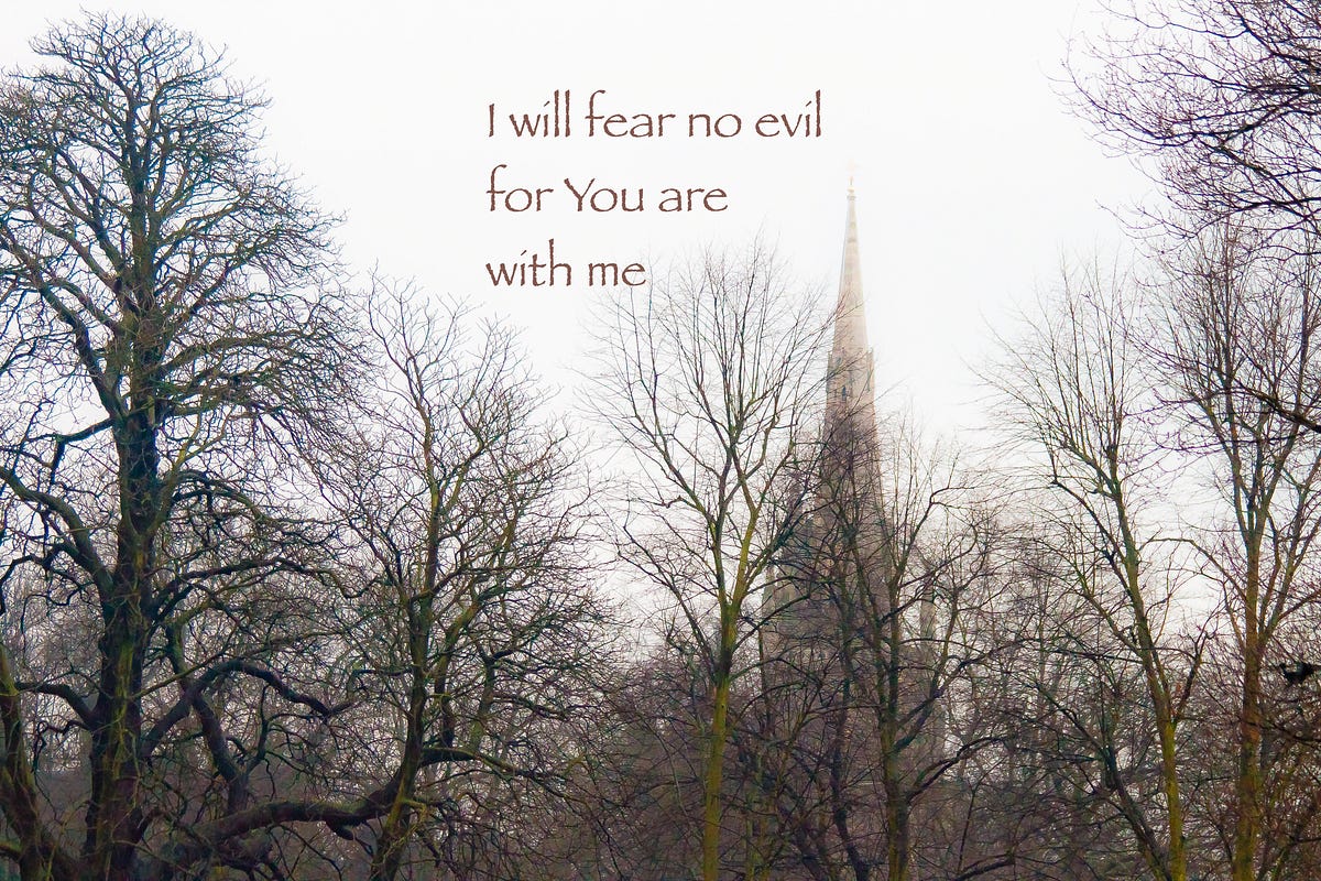No Fear?. “Even though I walk through the valley… | by Reid Fowler | Medium
