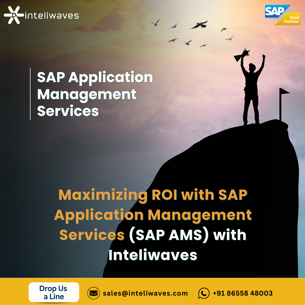 Maximizing ROI with SAP Application Management Services (SAP AMS) with ...