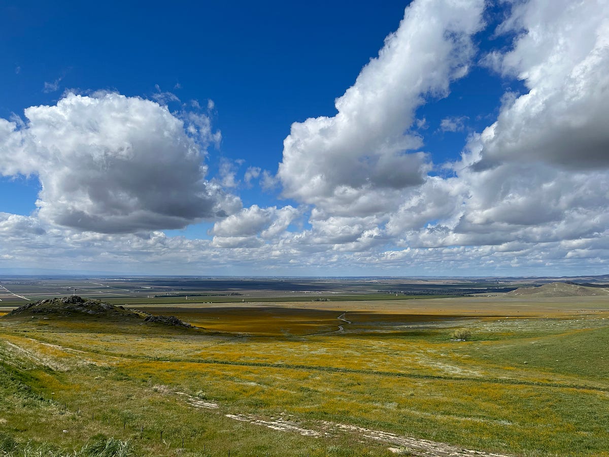 How to create a dashboard embedded in Jupyter notebook | by Stan | Medium