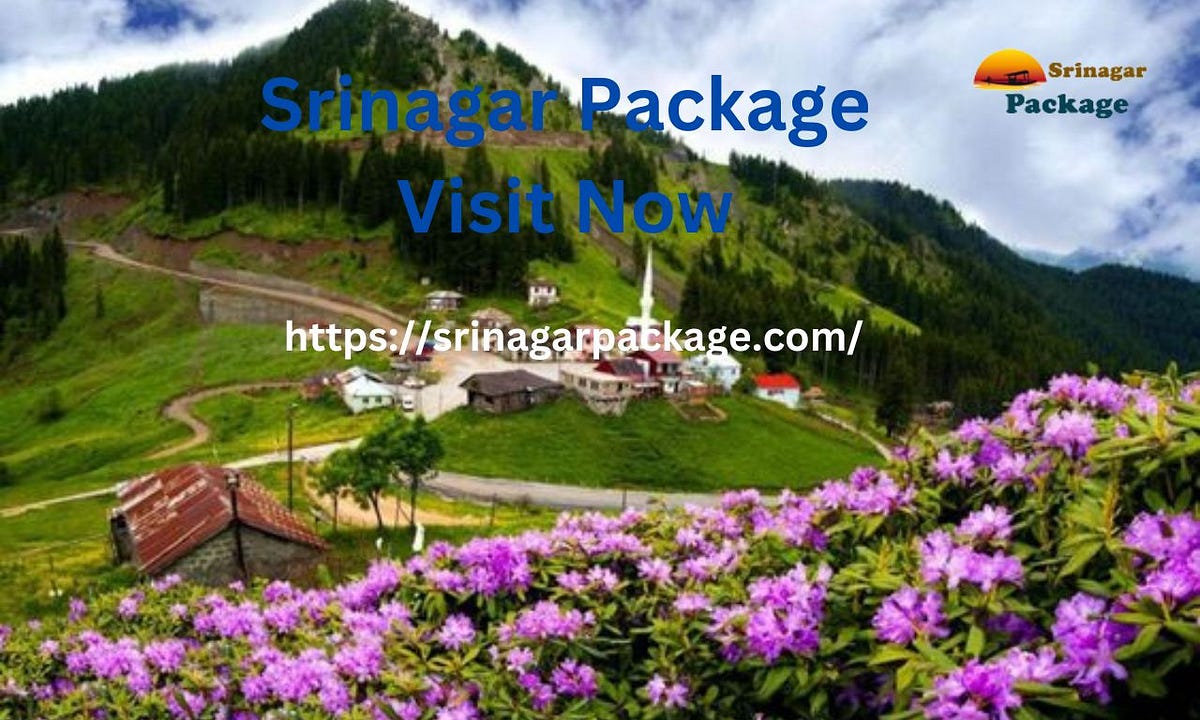 Blissful Srinagar Package. Destinations : Srinagar / Pahalgam /… | by Srinagar Package | Sep ...
