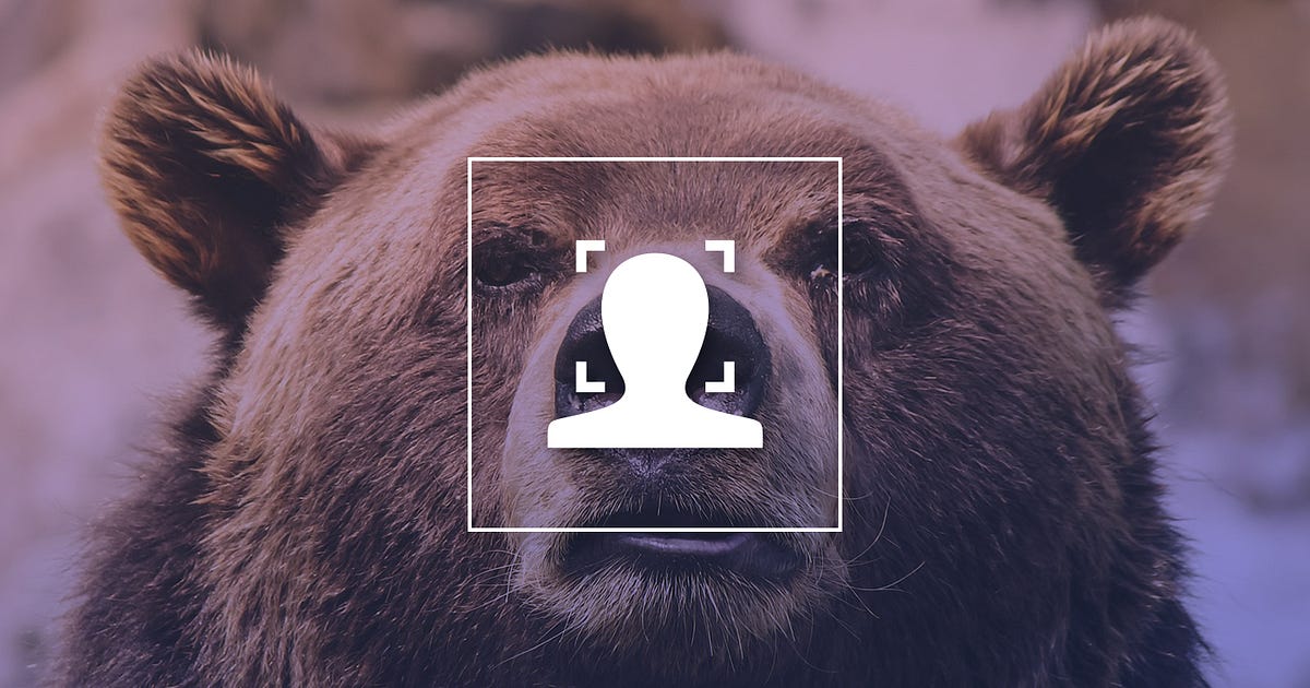Modern Face Detection Based On Deep Learning Using Python And Mxnet
