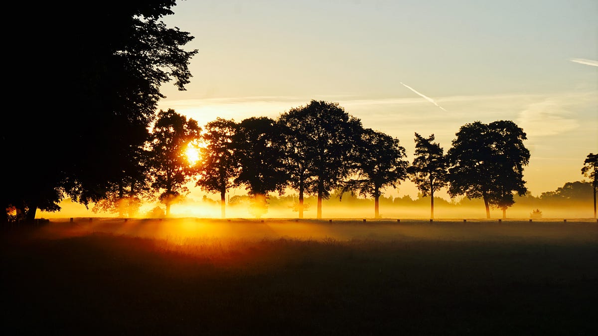 5 Powerful Steps That Can Help You Get Up At 5 AM Everyday | by Shan ...