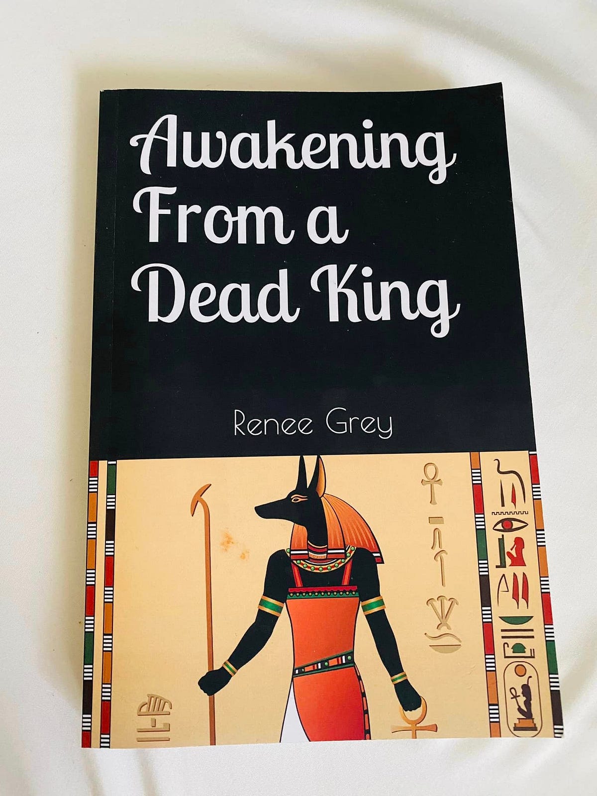 What does the cover say to you? Let me know your thoughts! | by Renee Grey | Nov, 2024 | Medium