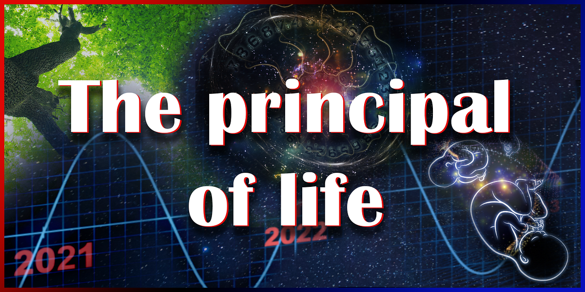 The principal of life - The Principal of Life - Medium