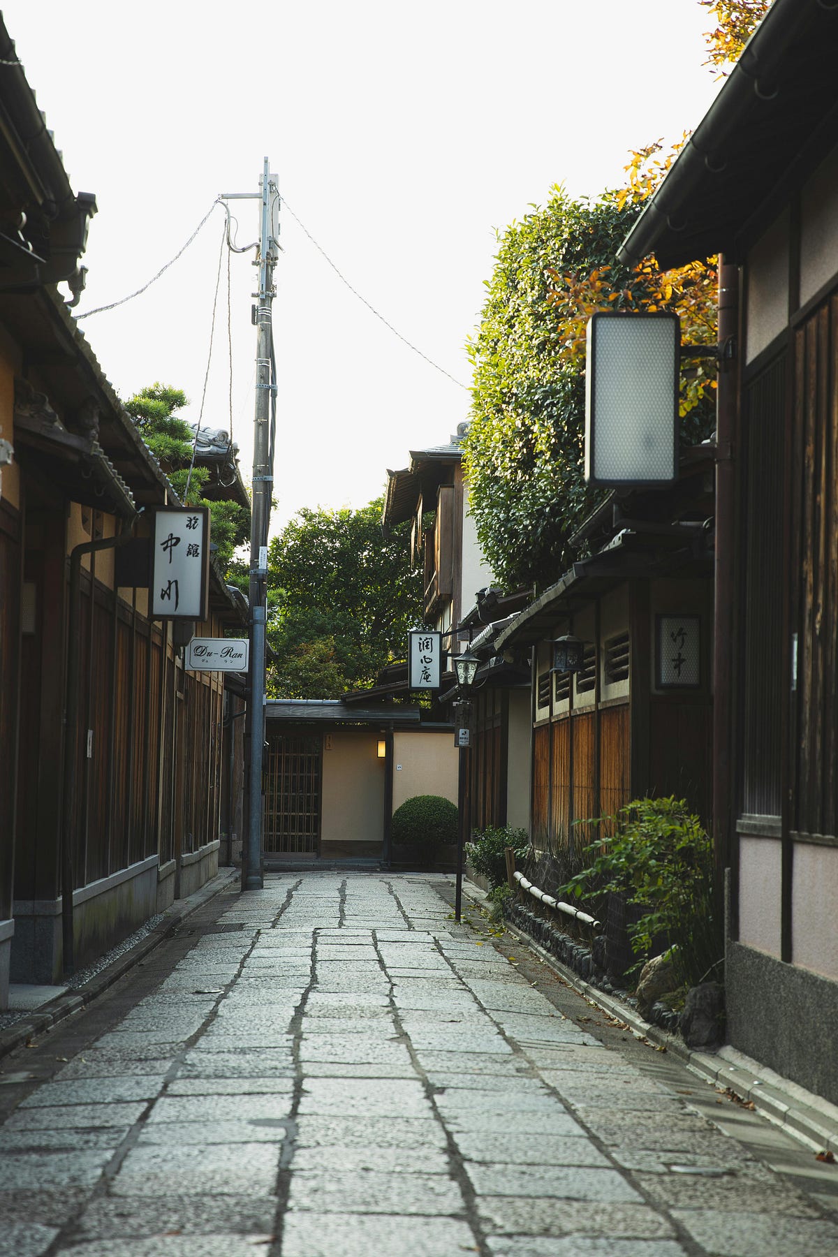 Ancient paths’ echoes, a story so vast - Daily Poems 🫀 - Medium