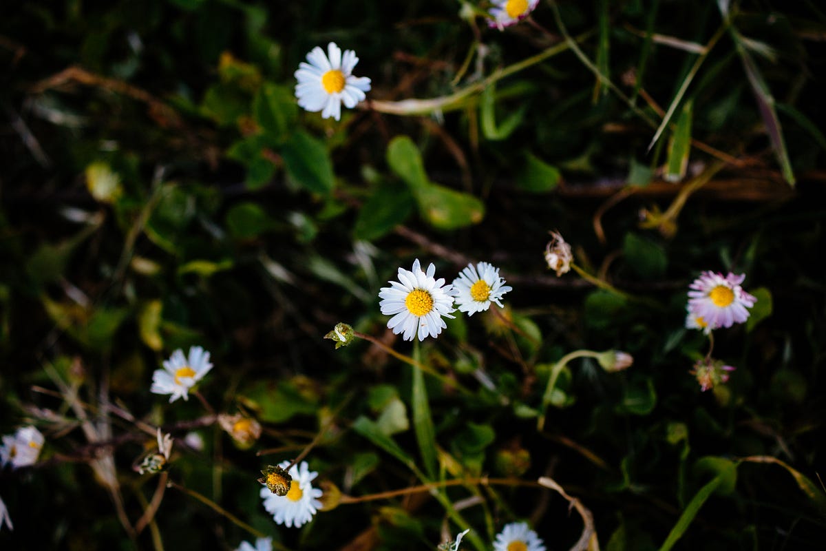 Prayer 01. Lord, wean me from the love this world… | by Depth of Field ...