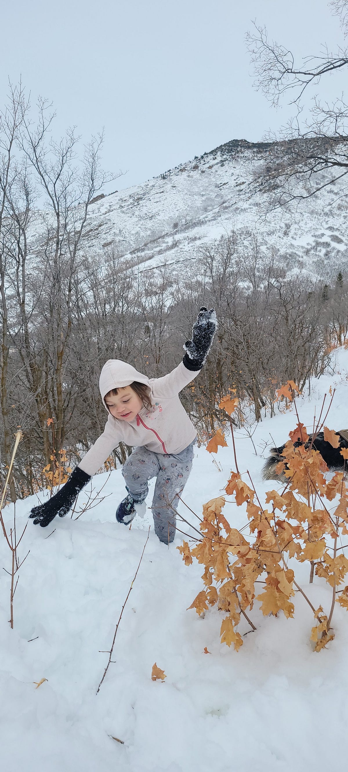 Snow much fun!. https://youtube.com/shorts/p38tp6RMbH | by Noki and Nauli Naja | Jan, 2024 | Medium