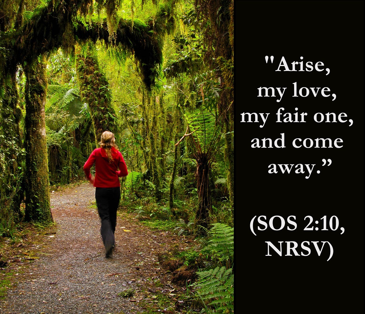 Arise, My Love, My Fair One, and Come Away | by Davidhollis | Koinonia ...
