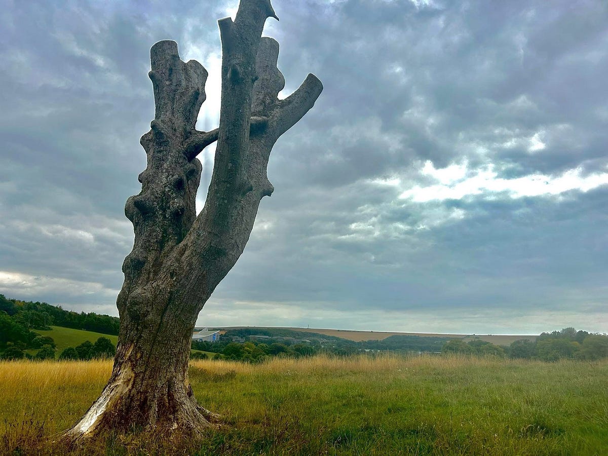 No Other Name. Higher than the ground a swell of clouds bruised and hot ...