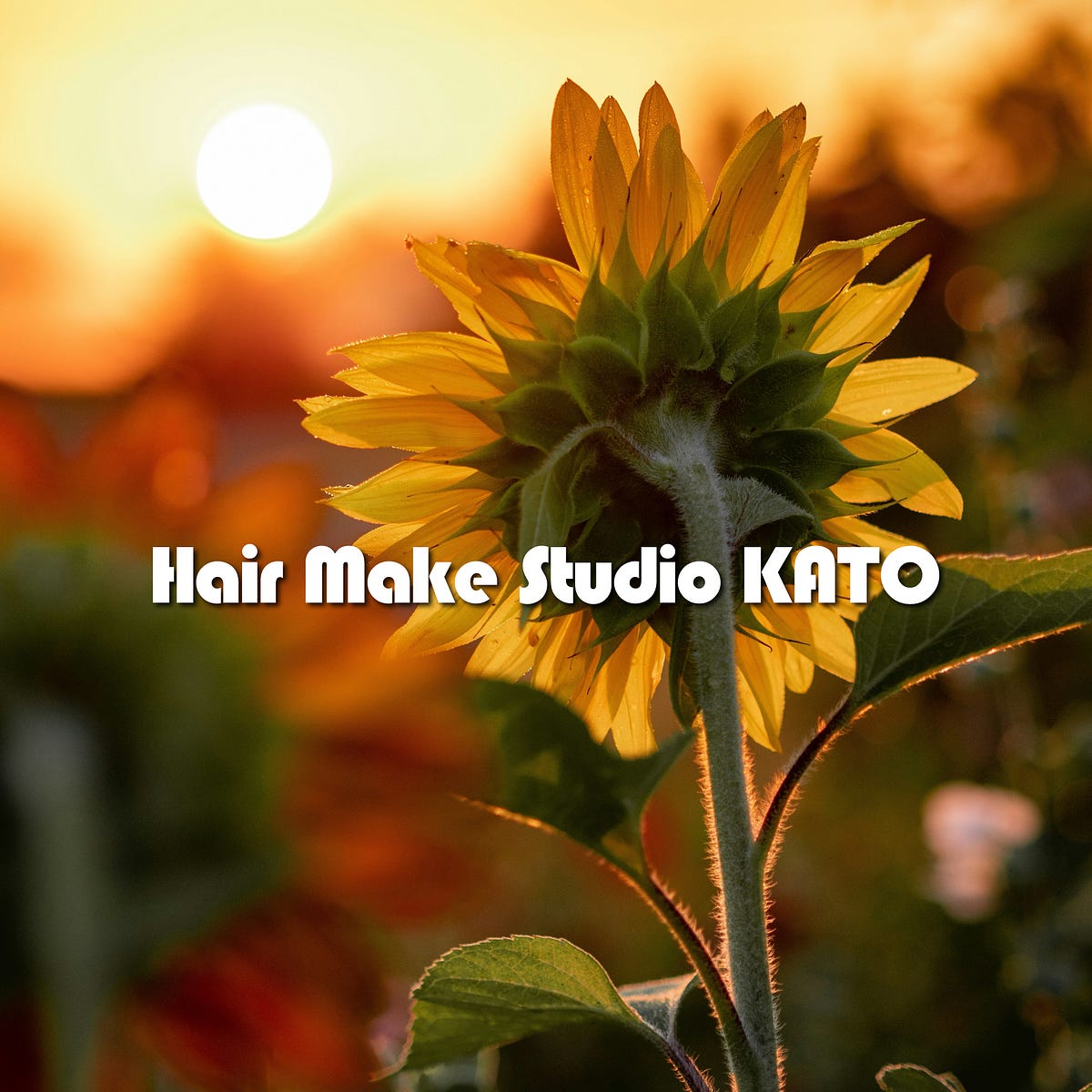 7月の営業カレンダー - Hair Make Studio KATO