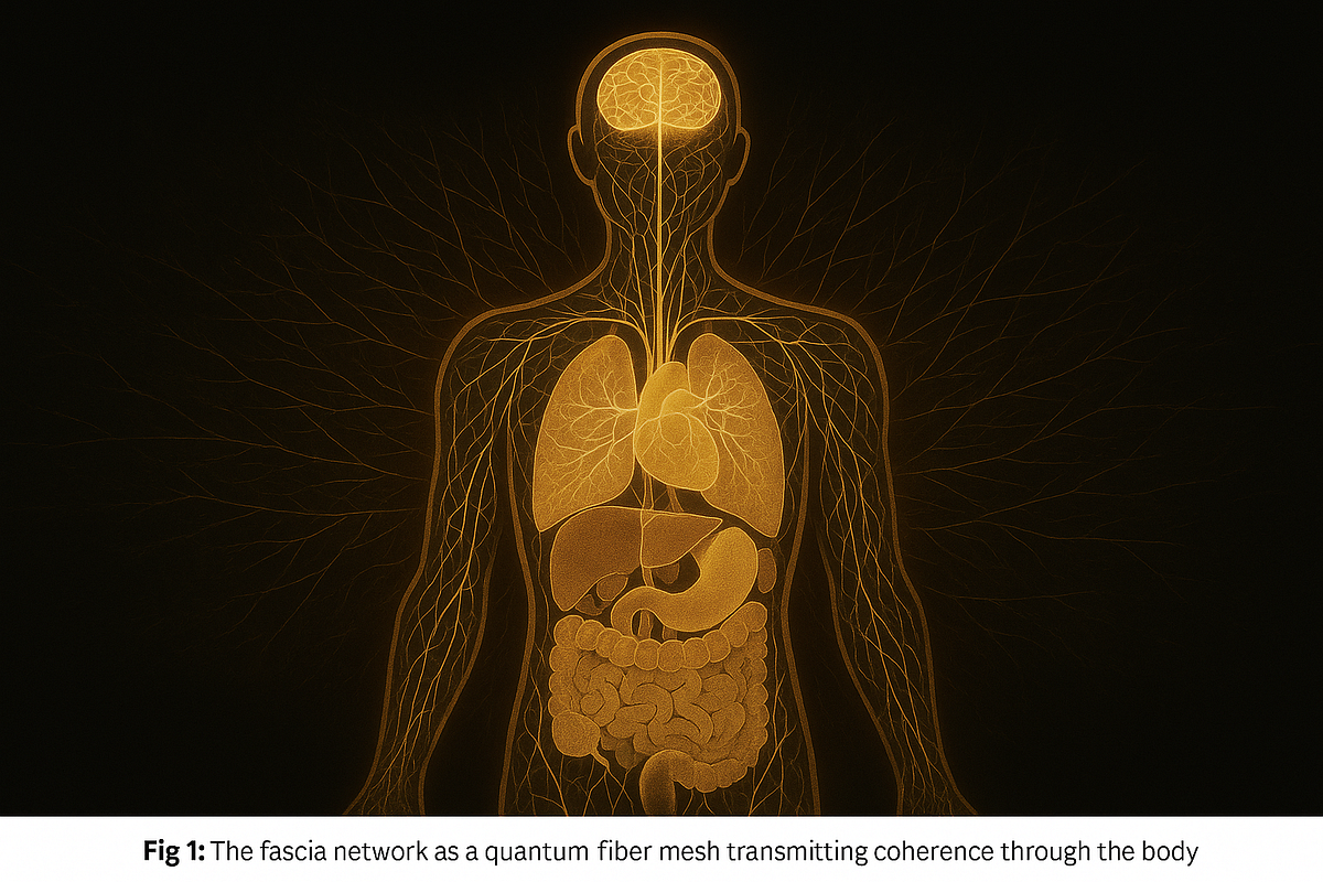 ️ The Quantum Body. The Resurrection Circuit: Blood… | by Bron R Torres ...