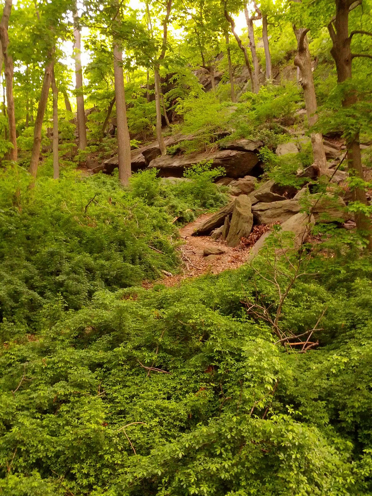 Go by Bike: Rides of Spring. With spring sprung, bicycling is… | by ...