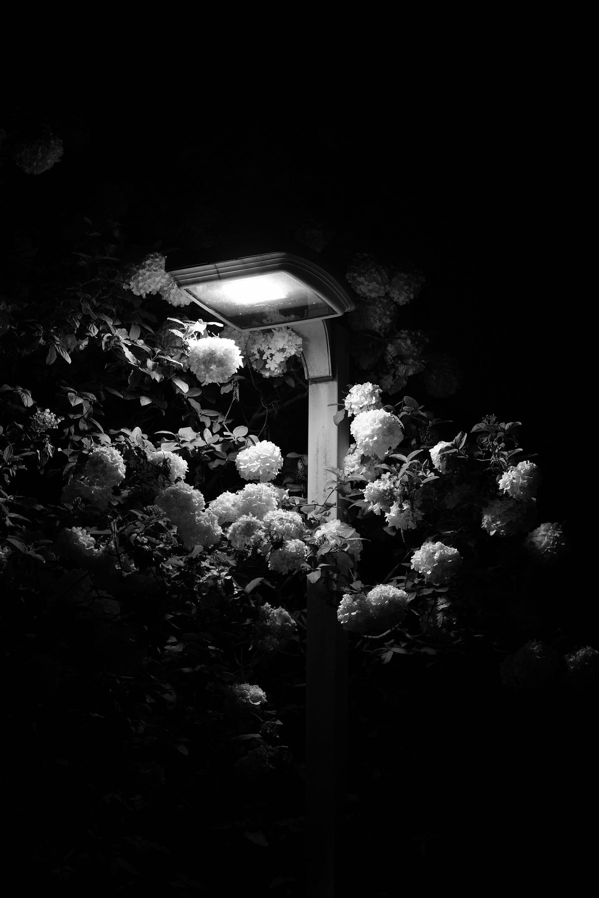 A Message to the Parentified Daughter | by Bayinnah Shah | New Writers ...