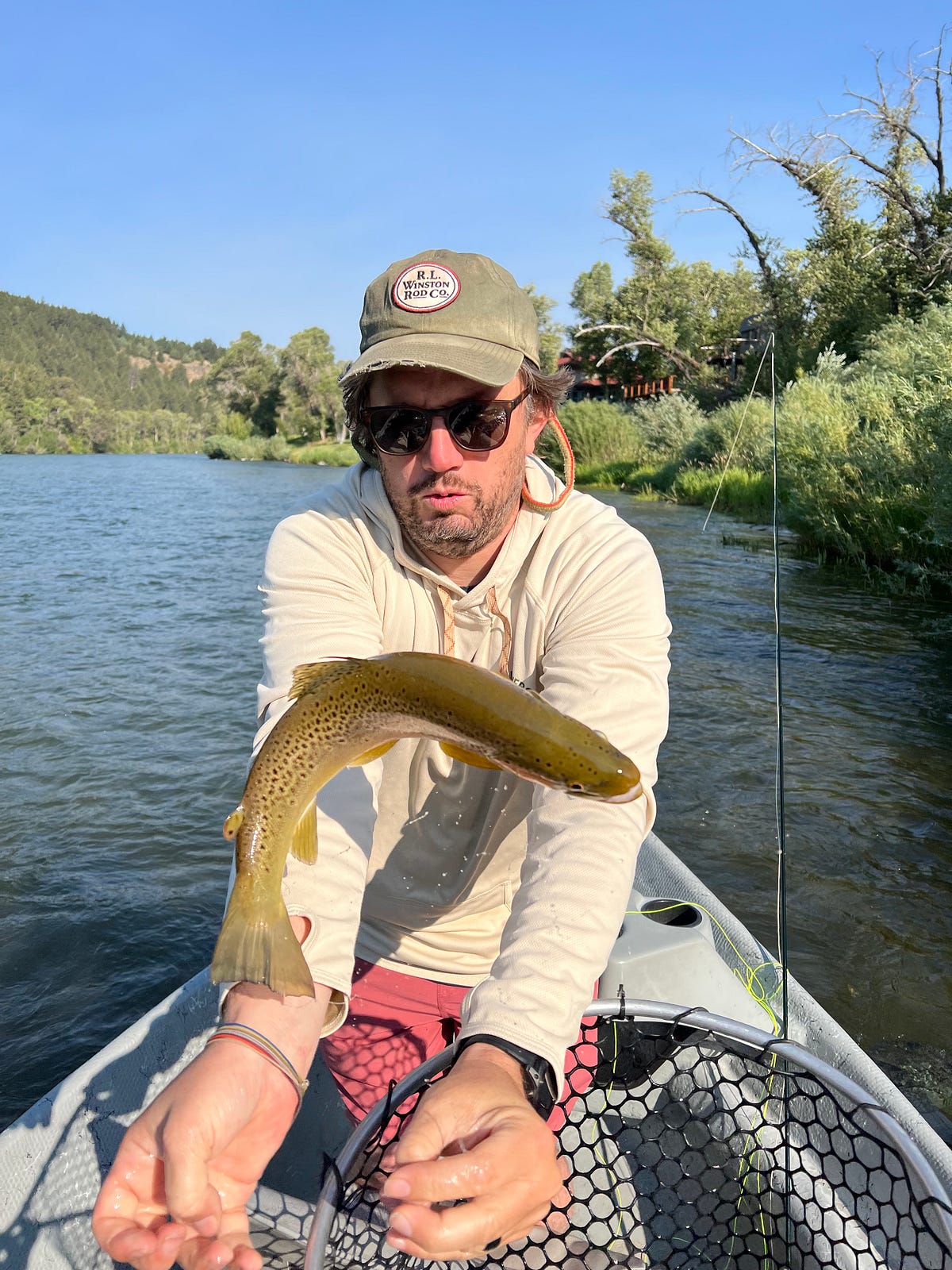 Fishing For Understanding. Stop me if you’ve heard this one before | by ...