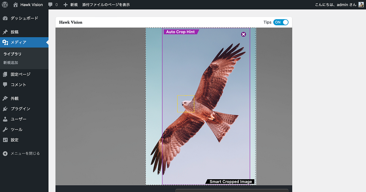 Hawk Vision — Smart Cropped Images Addon | by Takehiko Ono | Medium