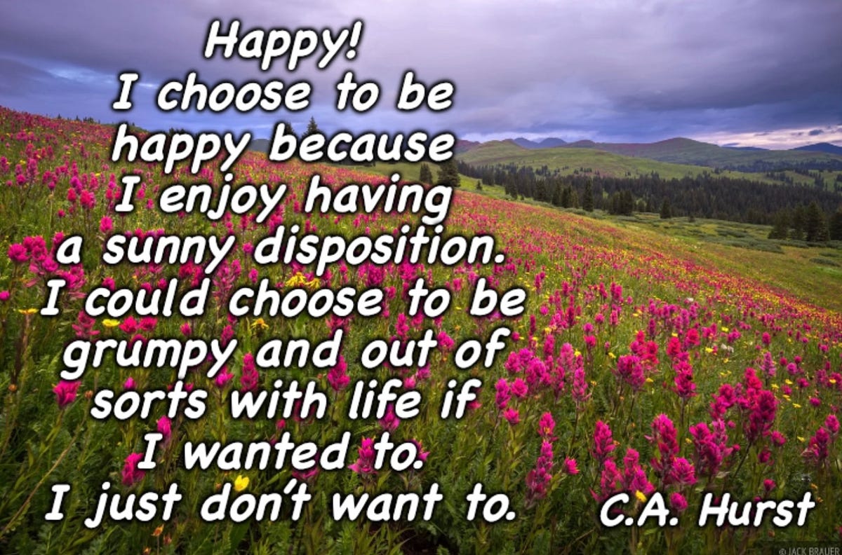 Happy! - C. A. Hurst - Medium