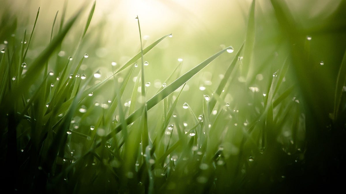 Inclimate Weather Affecting Harvest in Key Areas | by Garnand Marketing ...
