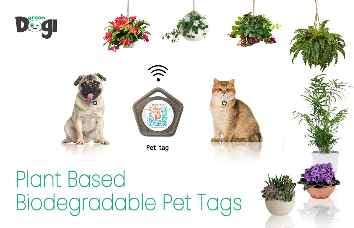 The World’s First Biodegradable Blockchain Pet Tag | by Pawtocol | Medium