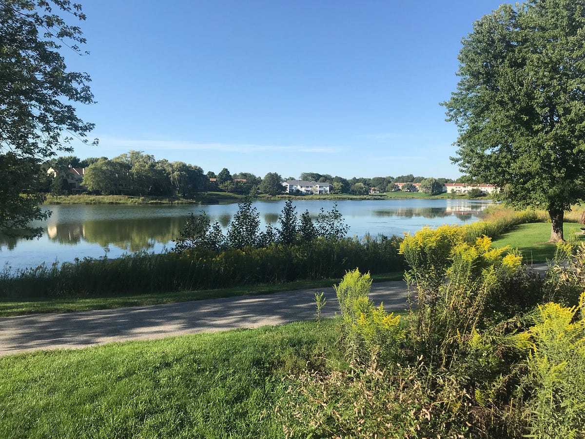 A Walk In the Park. A visit to Spring Lake Park… | by Bilaal Siddiqui ...