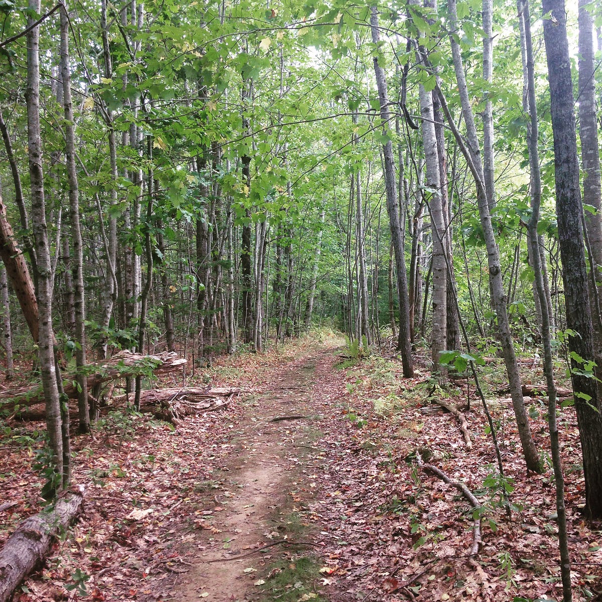 Hiking and Hunting. “when I discover who I am, I’ll be… | by Shelby ...