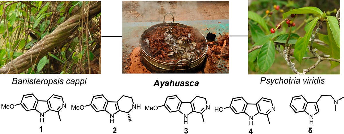 Unlocking Hope: Ayahuasca and Treatment Resistant Depression | by Tisha Dee | The Weight of ...