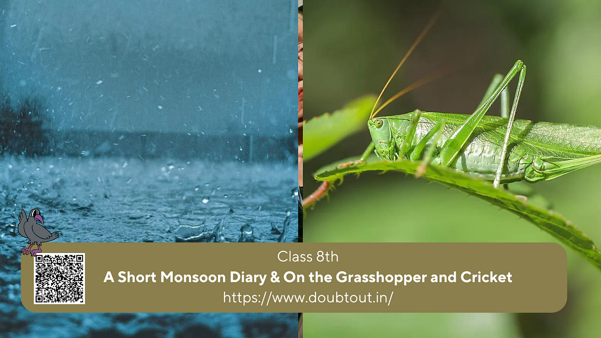 NCERT Solutions for Class 8 English Unit 8 — A Short Monsoon Diary & On ...