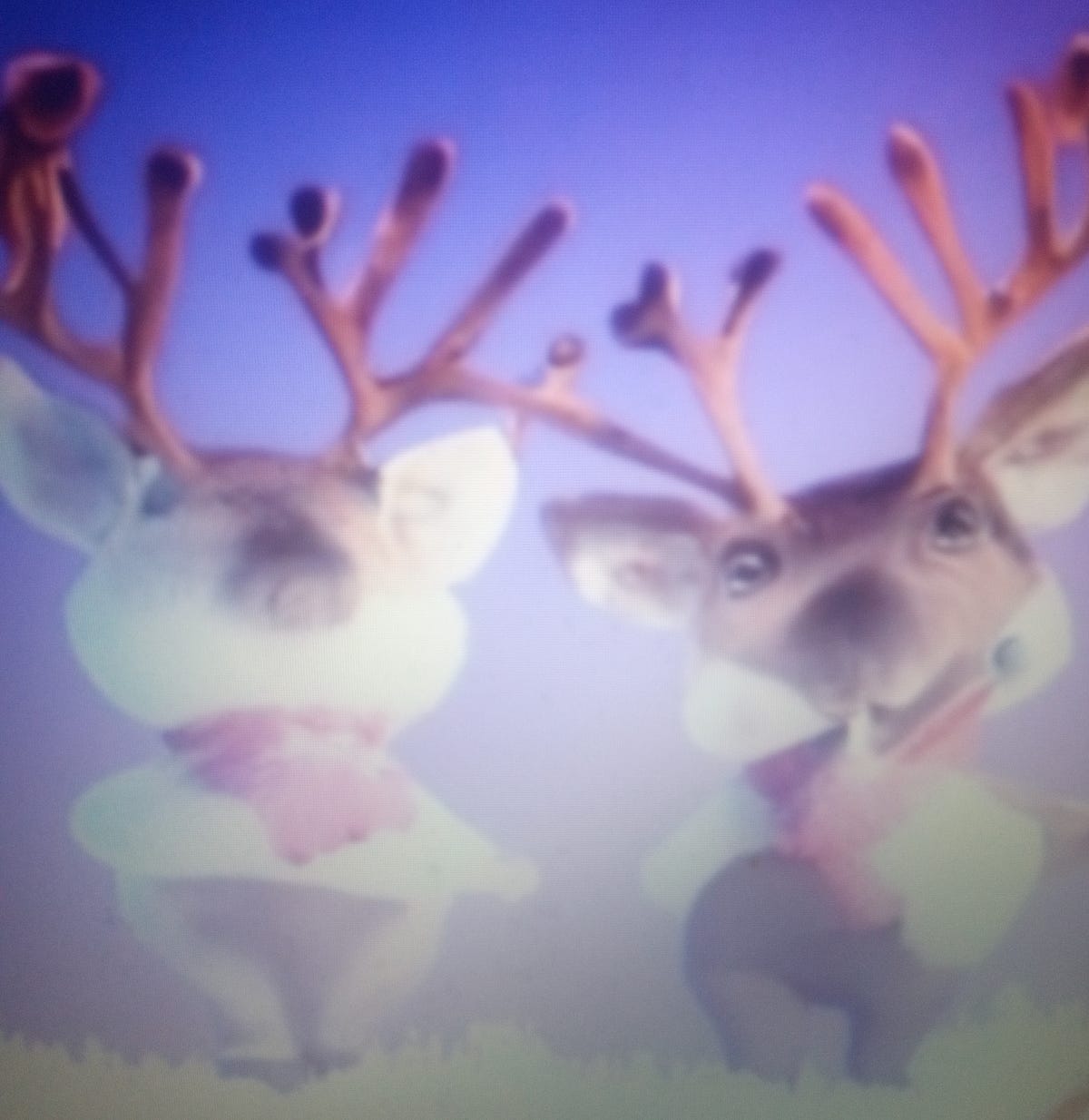 Cupid and Rudolph had twins| by Jim McAulay🍁 | Jest For Fun