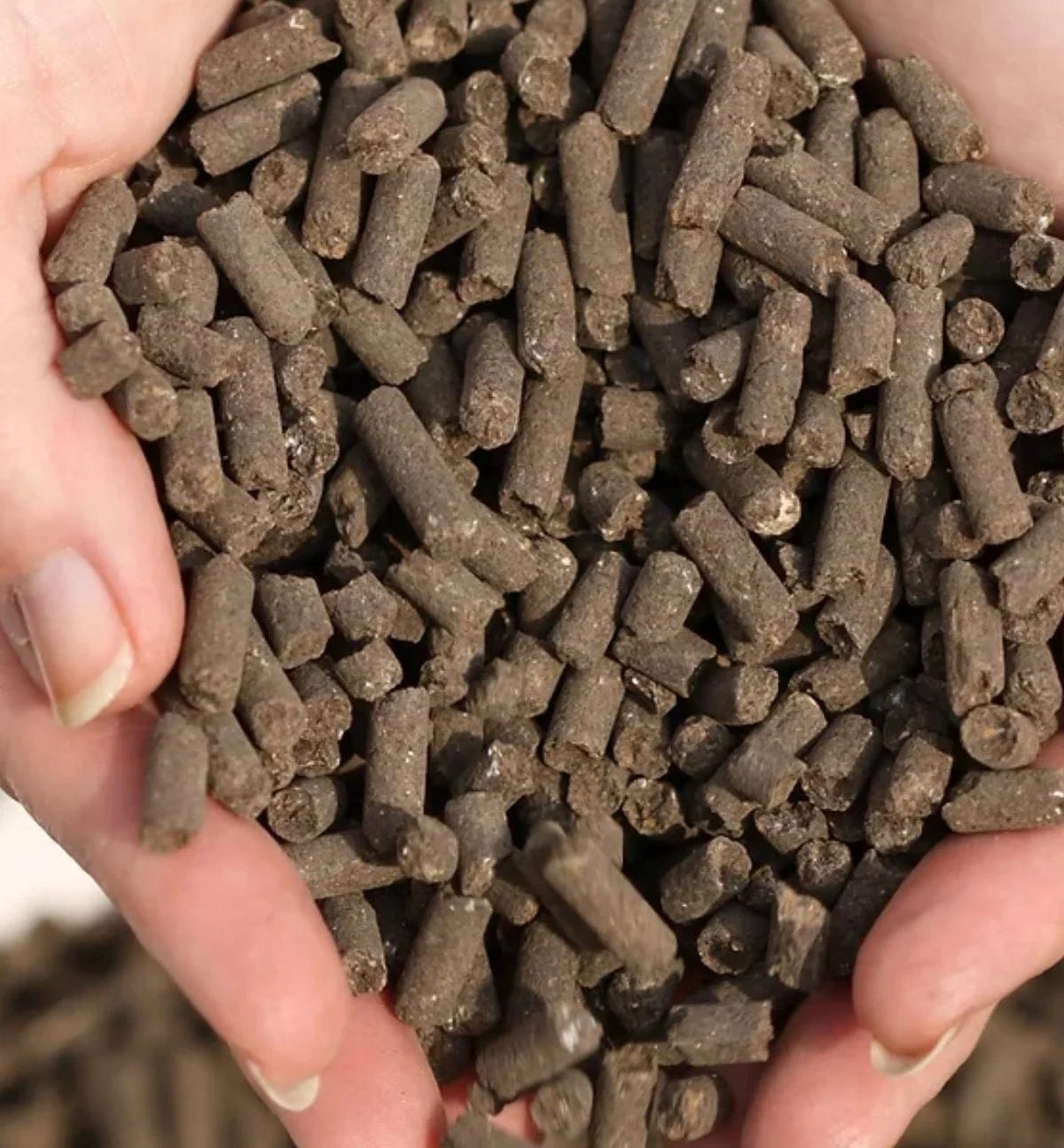 Power of Chicken Manure Pellets: A Gardener’s Guide to Nutrient-Rich ...