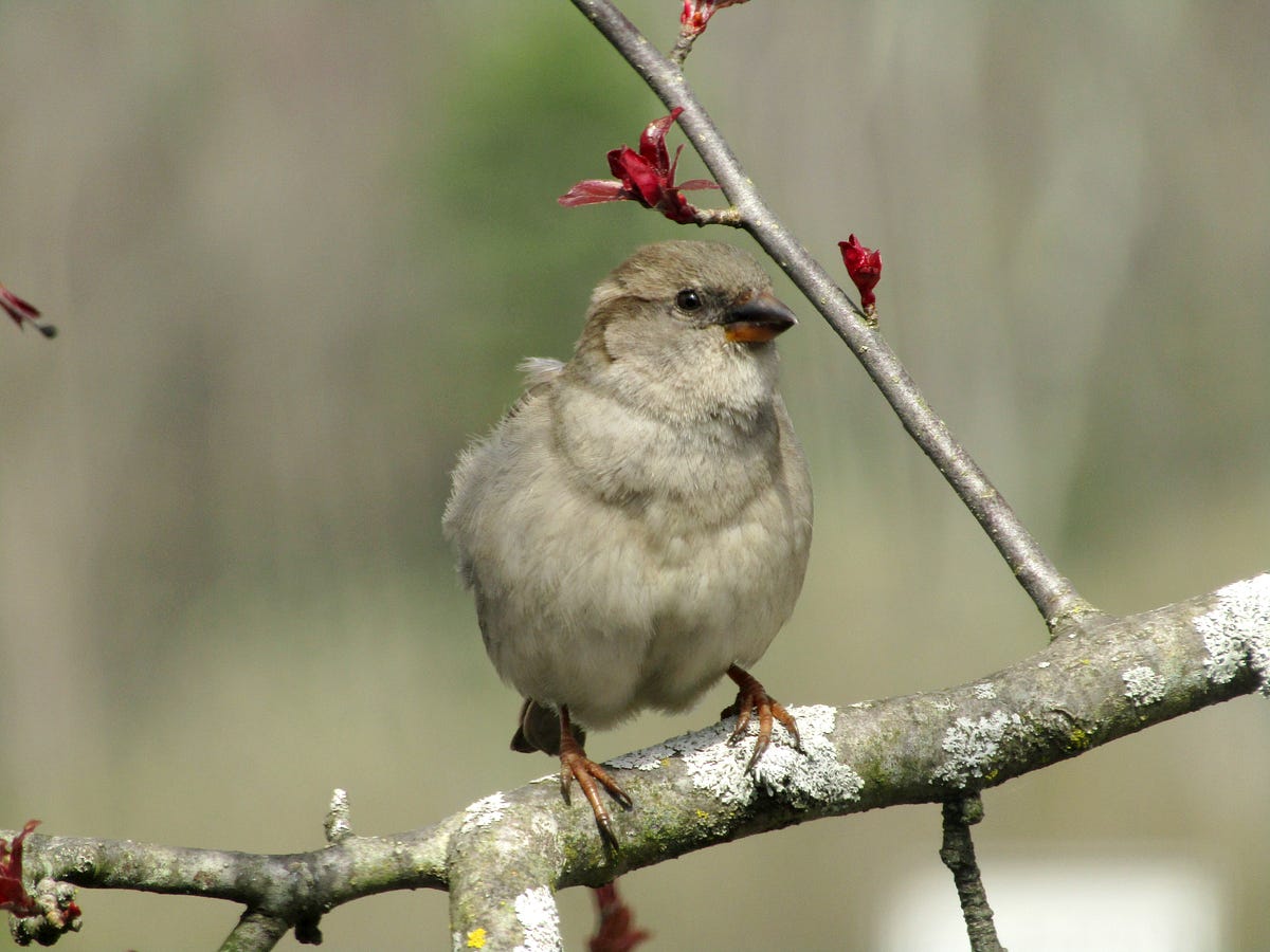 What Does it Mean to Be a Person? | by Allisonn Church | Know Thyself, Heal Thyself | Medium