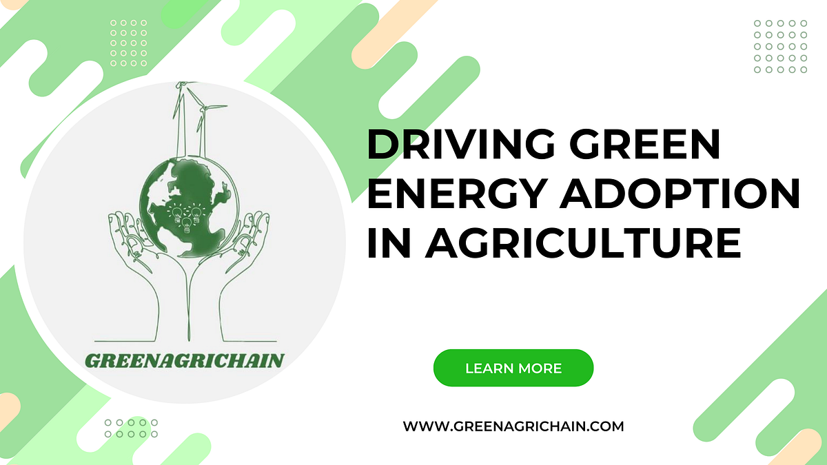 Greenagrichain’s Renewable Solutions | by Greenagrichain | Sep, 2024 ...