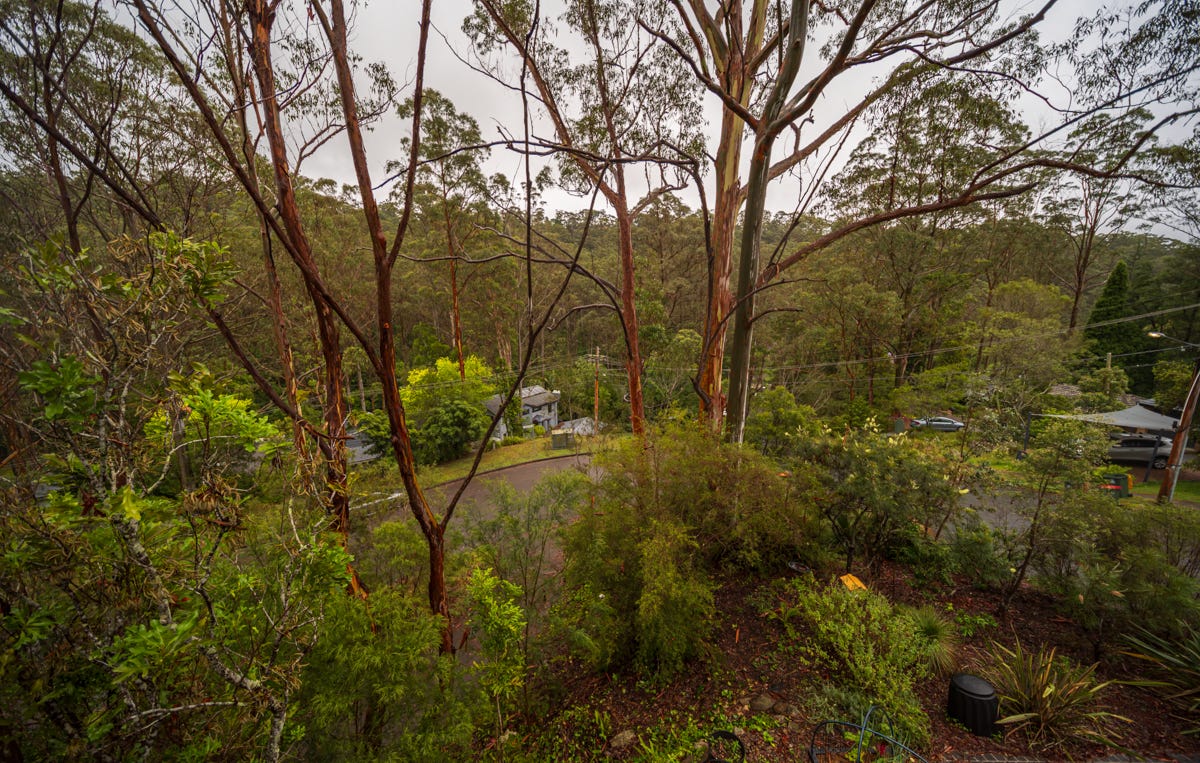 How to Setup a Backyard Sanctuary for Bird Photography | by Nilmini De ...