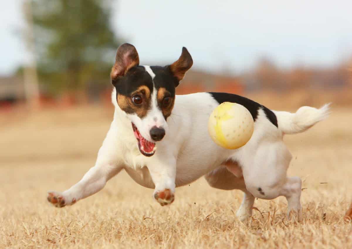 How To Get Fetch Request React In The First Part We Covered How To