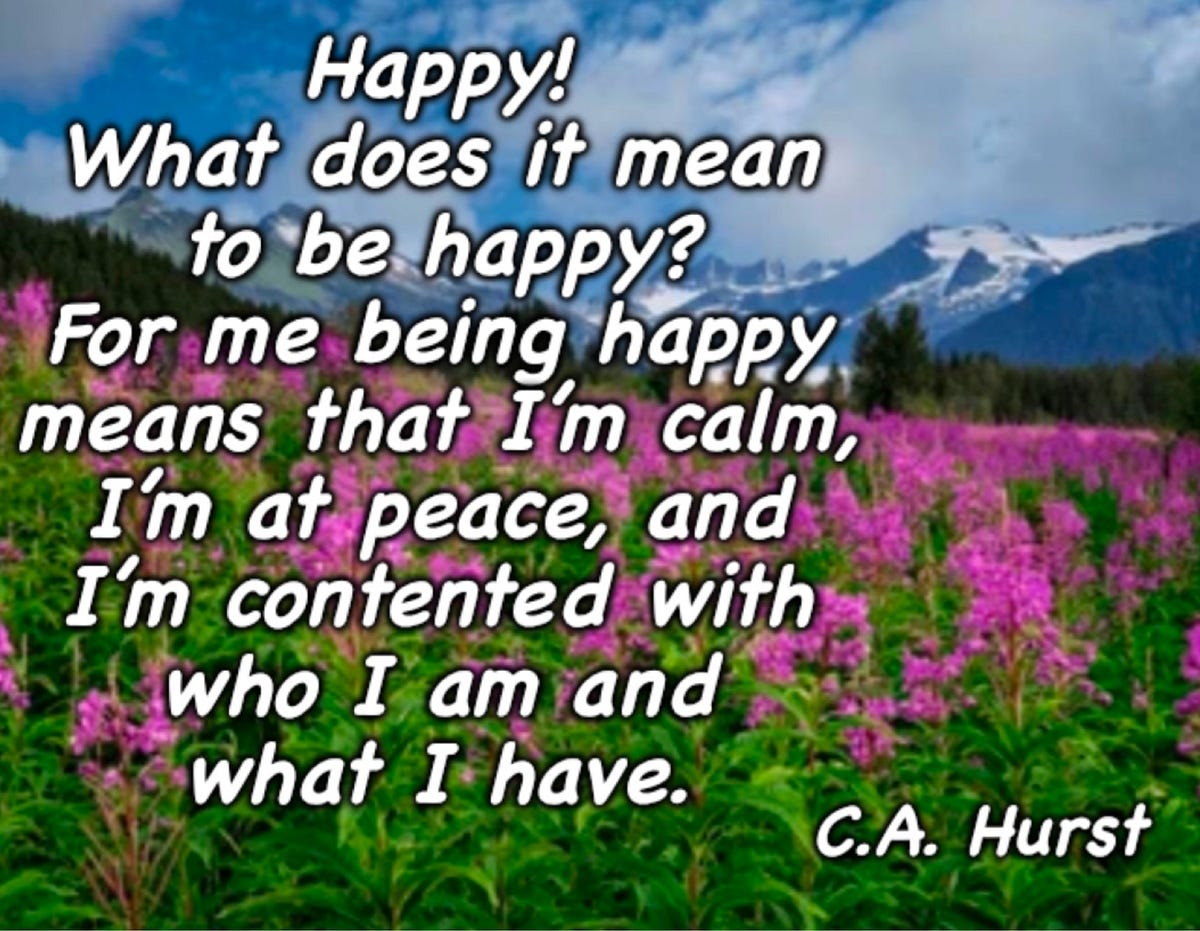 Happy! - C. A. Hurst - Medium