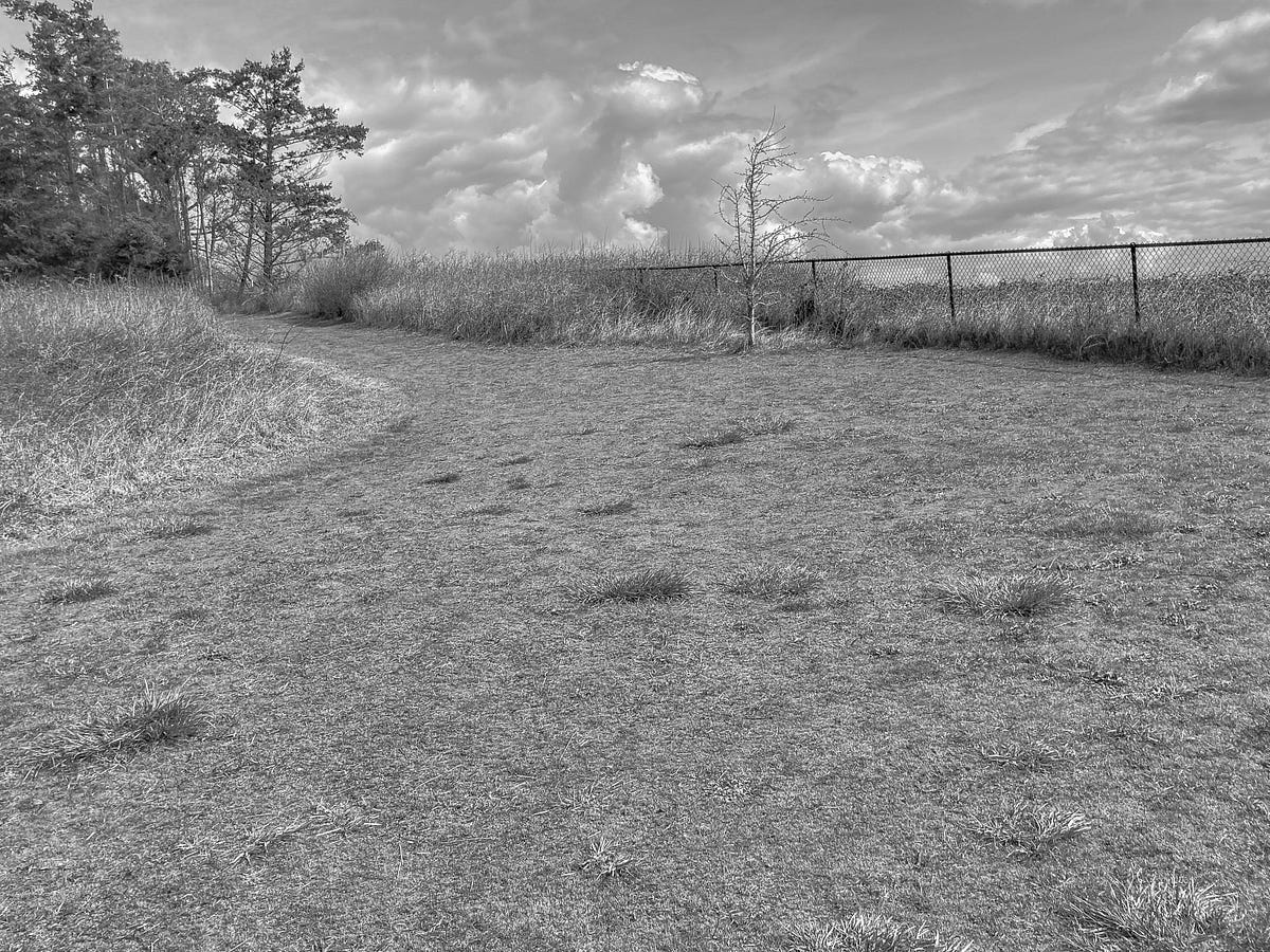 Port Susan - Steve Weir - Medium