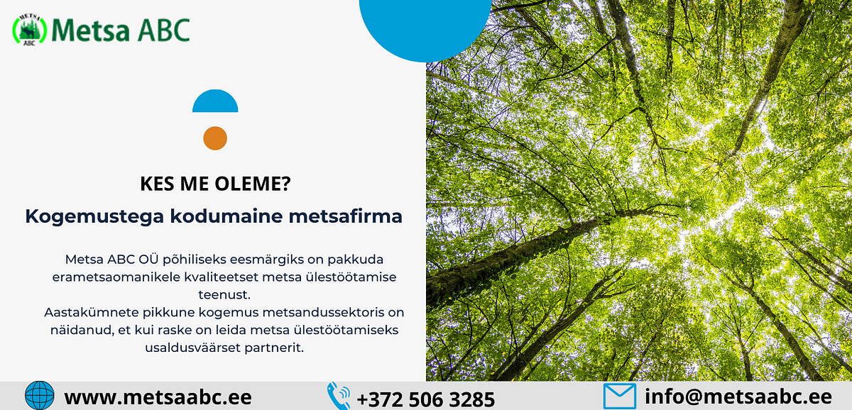 Populaarsed metsandusega seotud KKK-d Eestis | Metsa ABC | by Metsa ABC | Medium