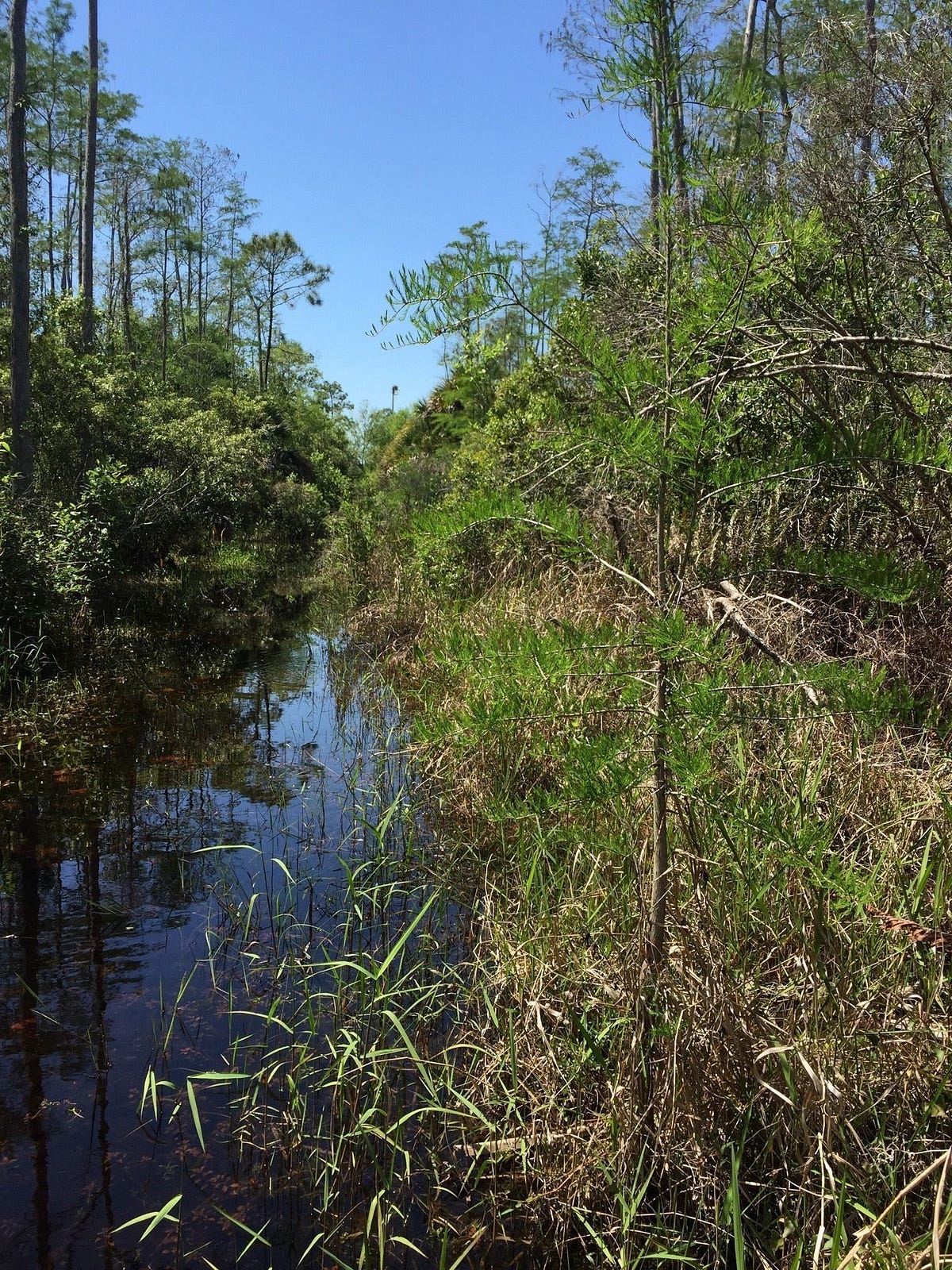 Colloquium — A Sense of Place. Colloquium is defined as “an academic ...