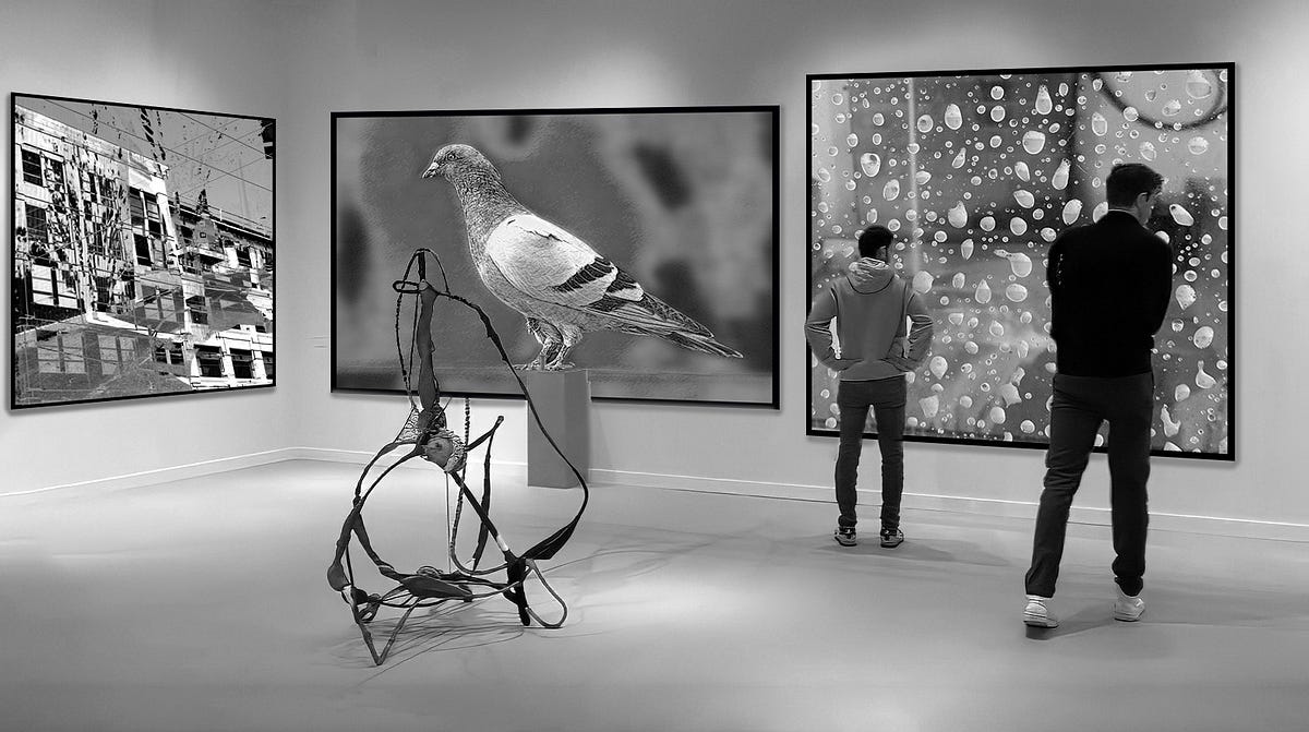 This Bird Has Flown. You say, “Goodbye” and I say, “Hello… | by Rodrigo ...