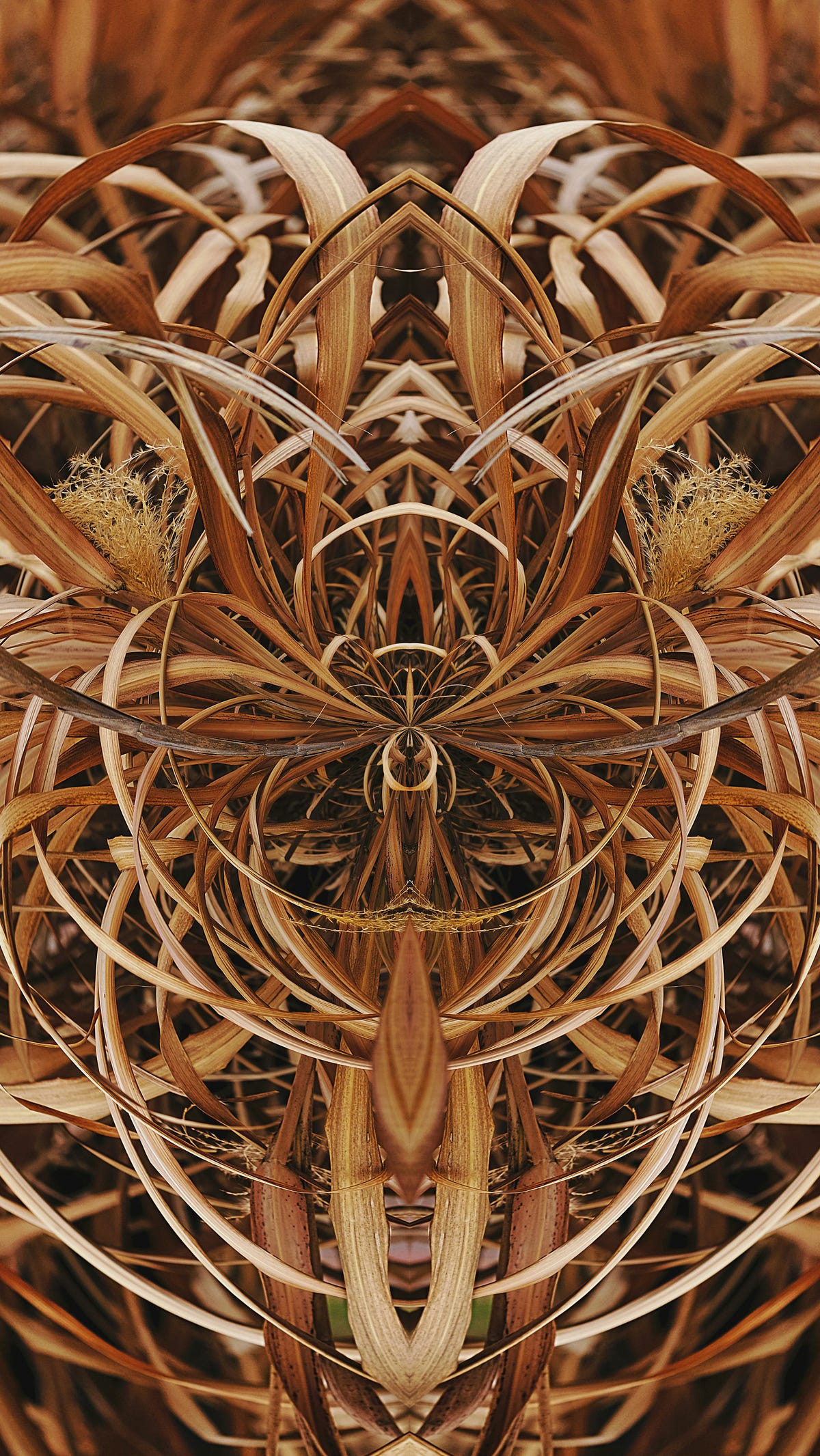 How to be a Creative Person (even if it doesn’t come naturally) | by ...