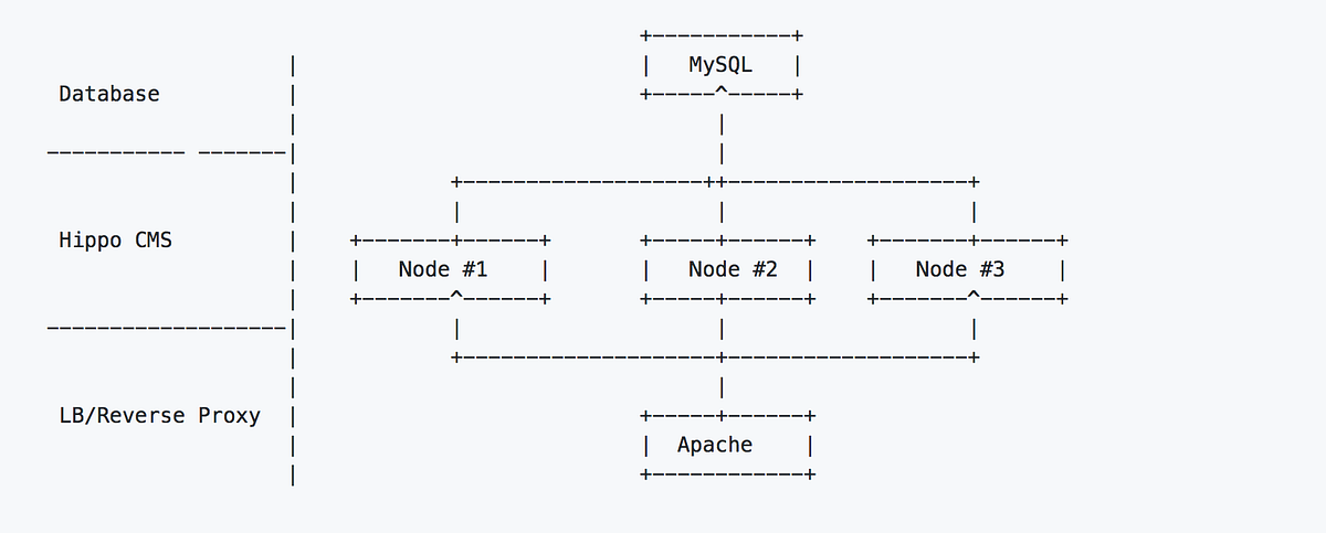 Hippo CMS — Deployment using Docker Compose | by Mahesh A. | Medium