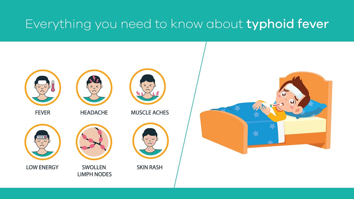 Everything You Need To Know About Typhoid Fever - dr_remedieslab - Medium