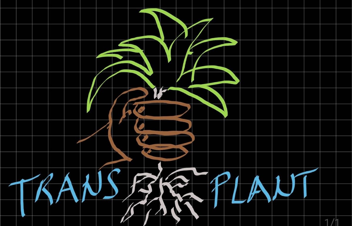 Trans Plant. Trans Plant | by Orvard Zapanta | Medium