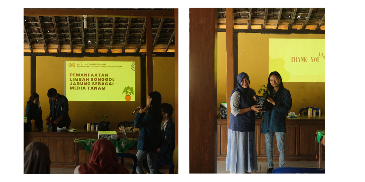 Limbah Bonggol Jagung Melimpah, Mahasiswa UNDIP Sulap Limbah Menjadi ...