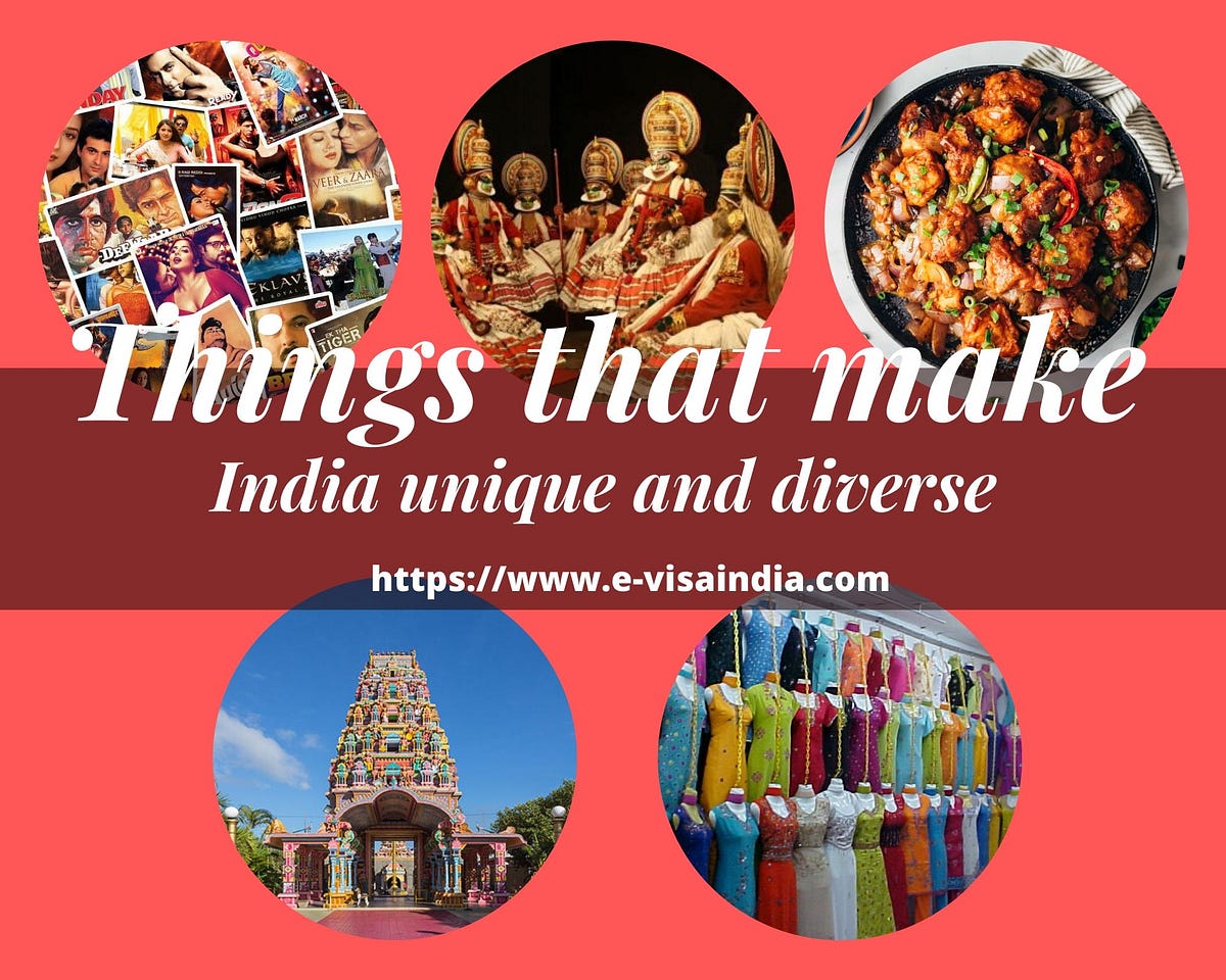 Things that make India unique and diverse | by Evisa india | Medium