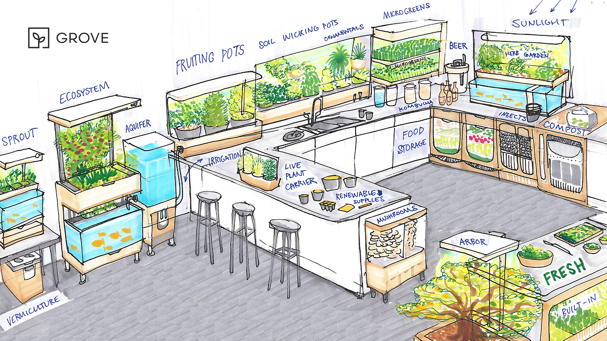 What Grove Does Differently to Get People Growing | by Carolyn McRae ...