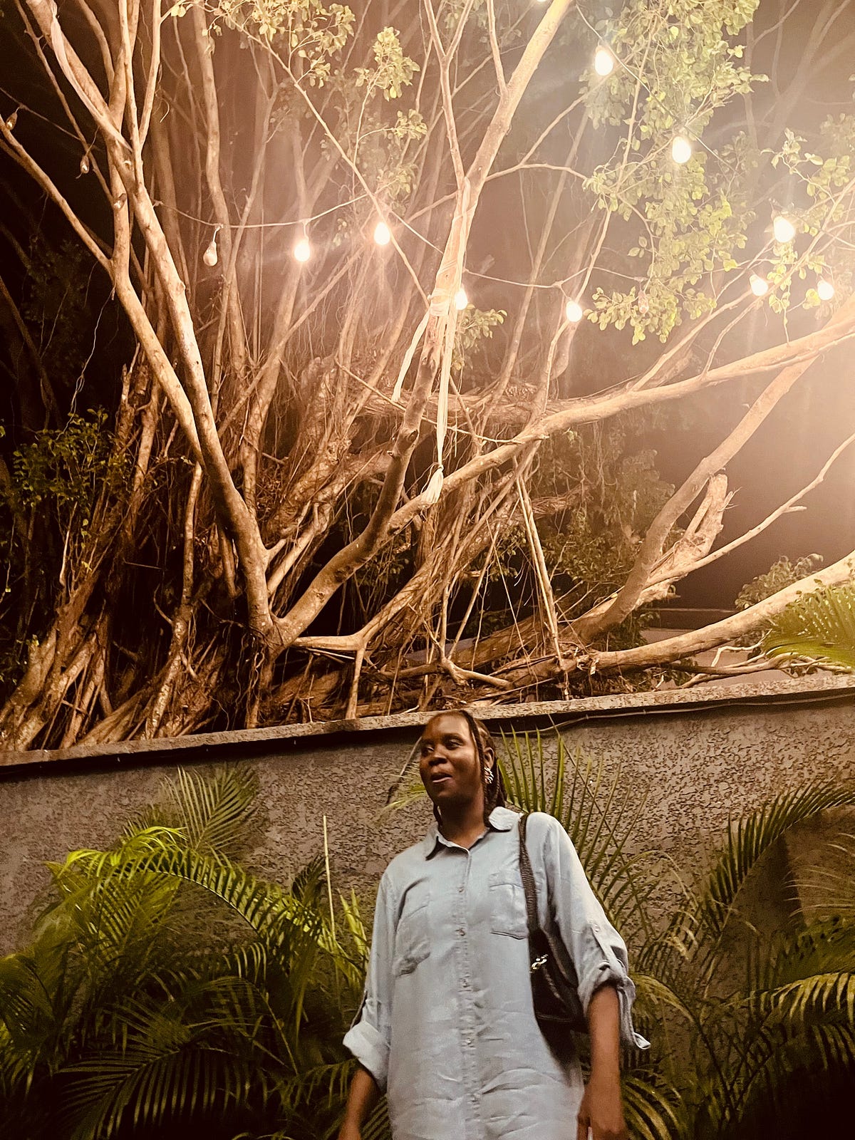 The Snake In The Fence. When Silence Isn’t Safety | by Bukola Ogundele ...