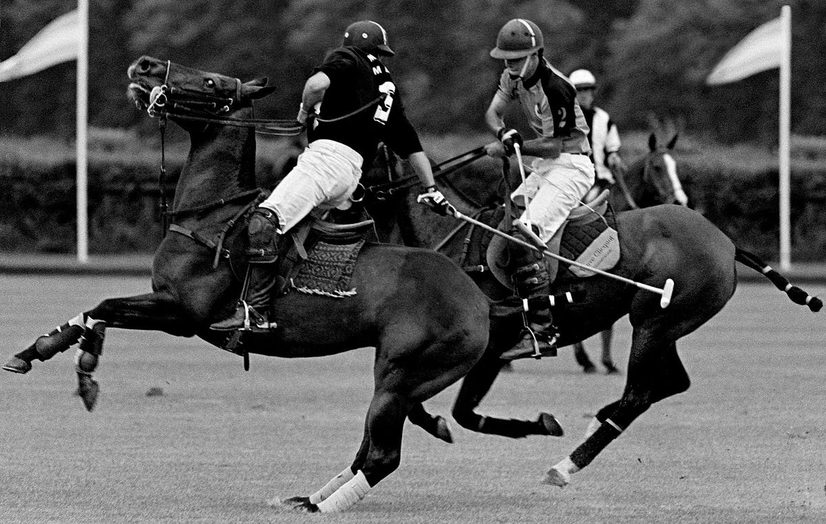 How can someone not be romantic about polo? | by Shruti Chauhan | Medium