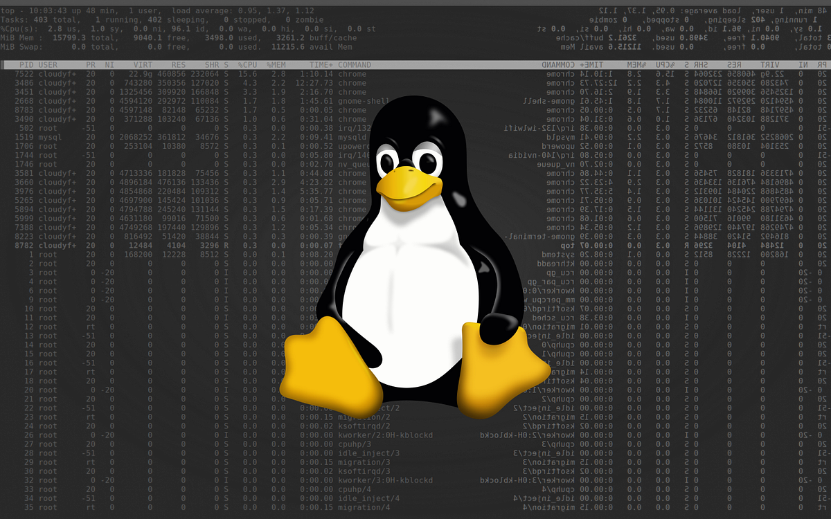 Here are Top 5 Linux distros for developers in 2021! | by Kisan Tamang ...