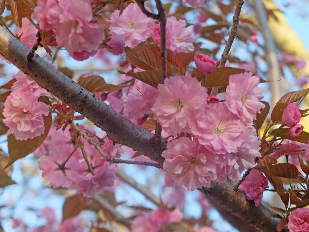 Spring Bounty - Simply Photos - Medium