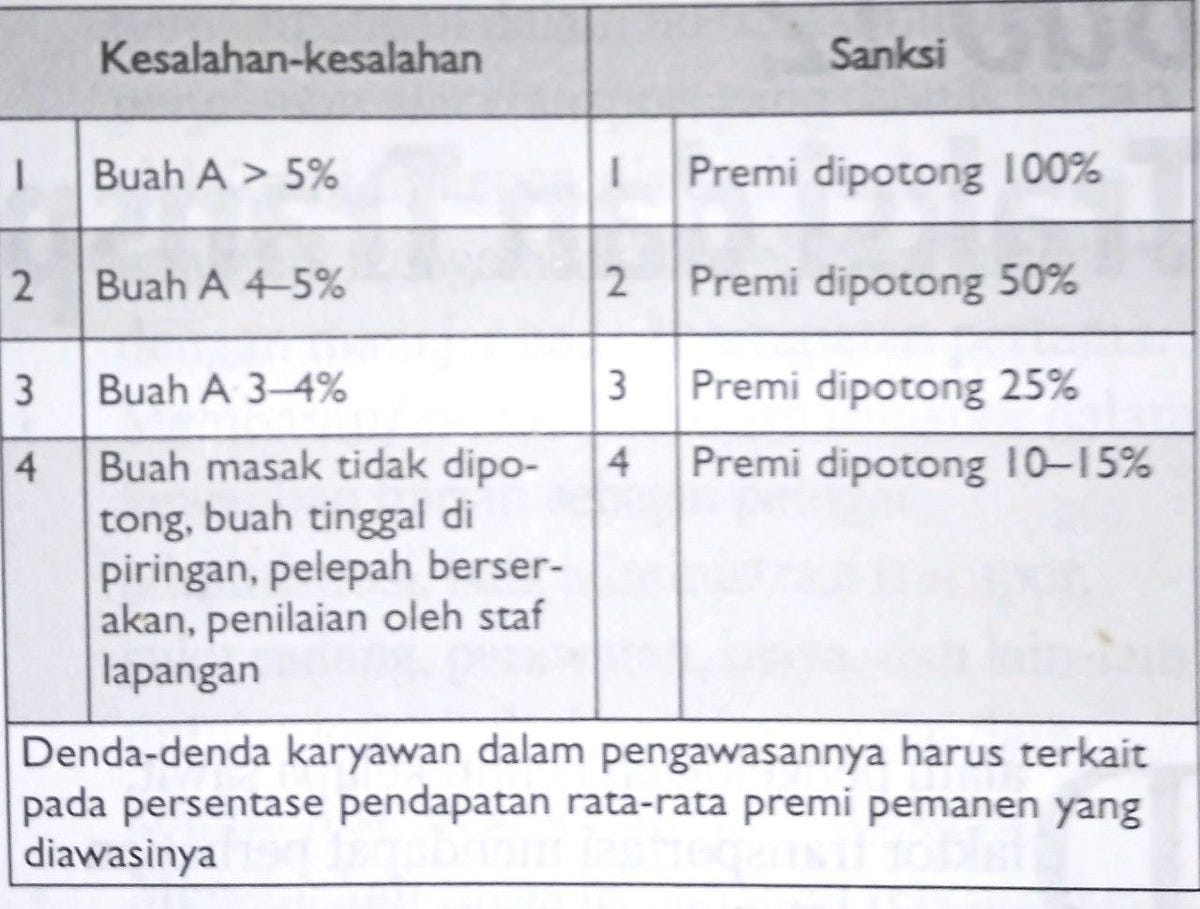Sangsi - Didikroziq - Medium