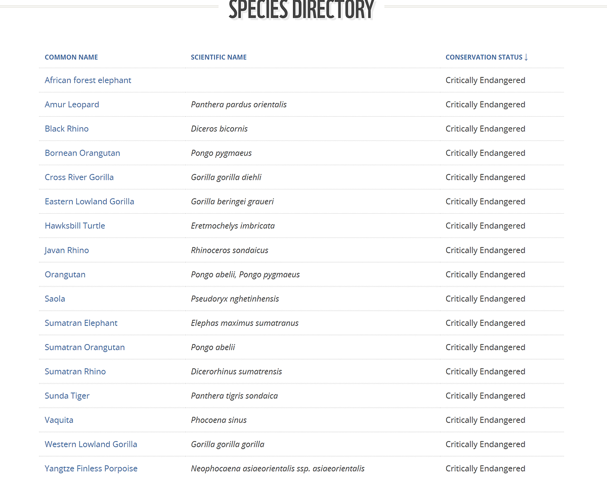 17 Critically Endangered Animals in Focus | ILLUMINATION